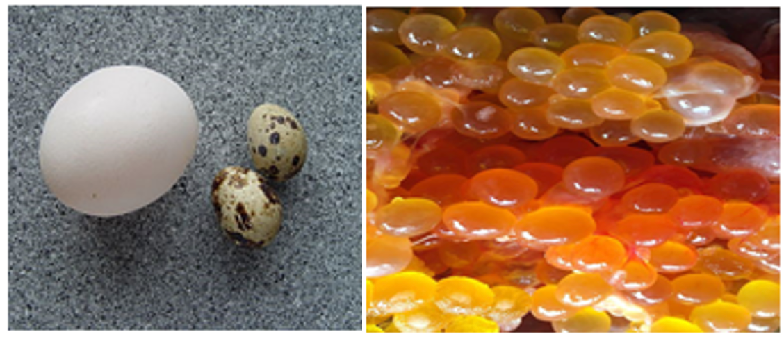 Doubt Solutions - Maths, Science, CBSE, NCERT, IIT JEE, NEET