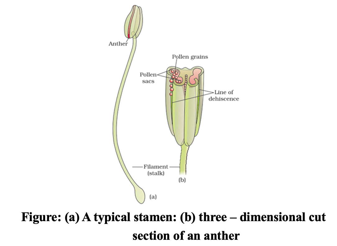 Doubt Solutions - Maths, Science, CBSE, NCERT, IIT JEE, NEET