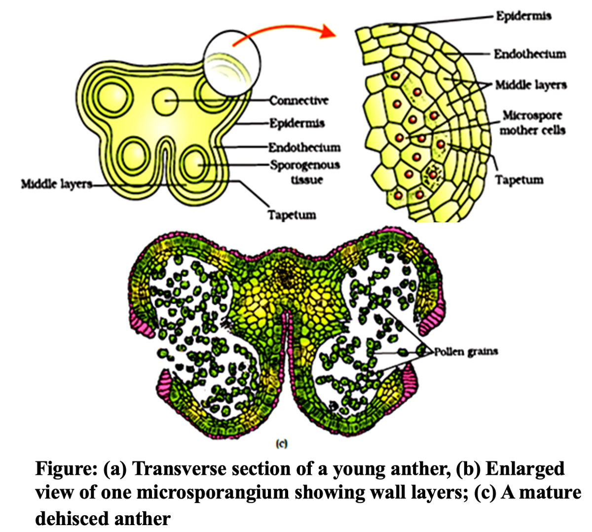 Doubt Solutions - Maths, Science, CBSE, NCERT, IIT JEE, NEET