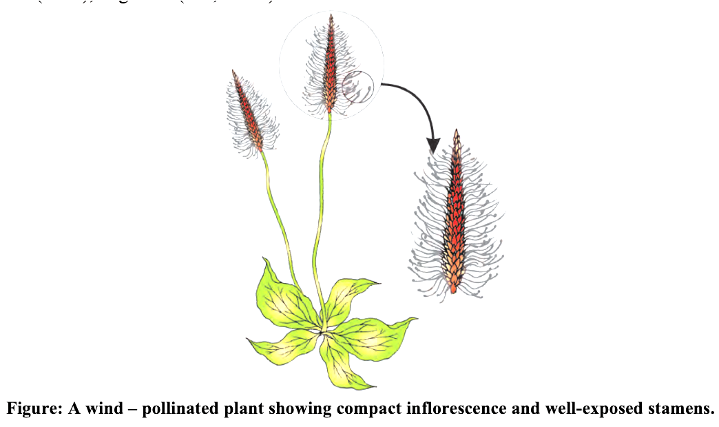 Doubt Solutions - Maths, Science, CBSE, NCERT, IIT JEE, NEET