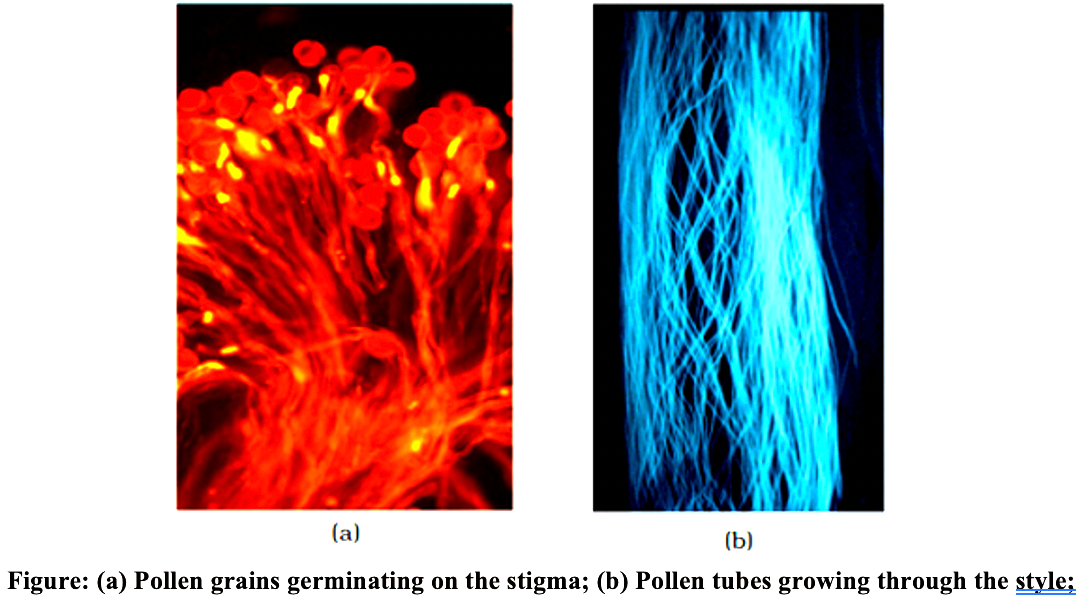 Doubt Solutions - Maths, Science, CBSE, NCERT, IIT JEE, NEET