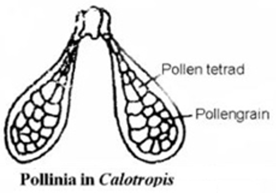 Doubt Solutions - Maths, Science, CBSE, NCERT, IIT JEE, NEET