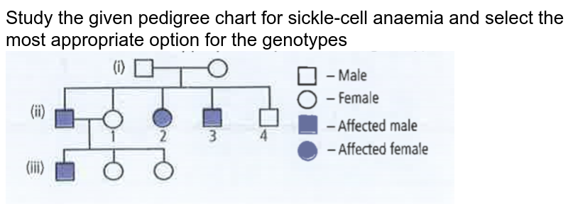 Sickle Cell Anemia Chart