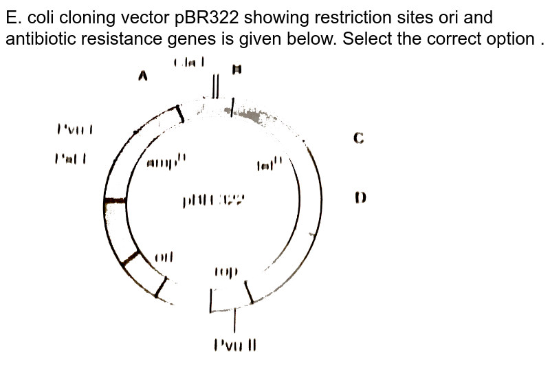 The Given Figure Is The Diagrammatic Representation Of The E Coli