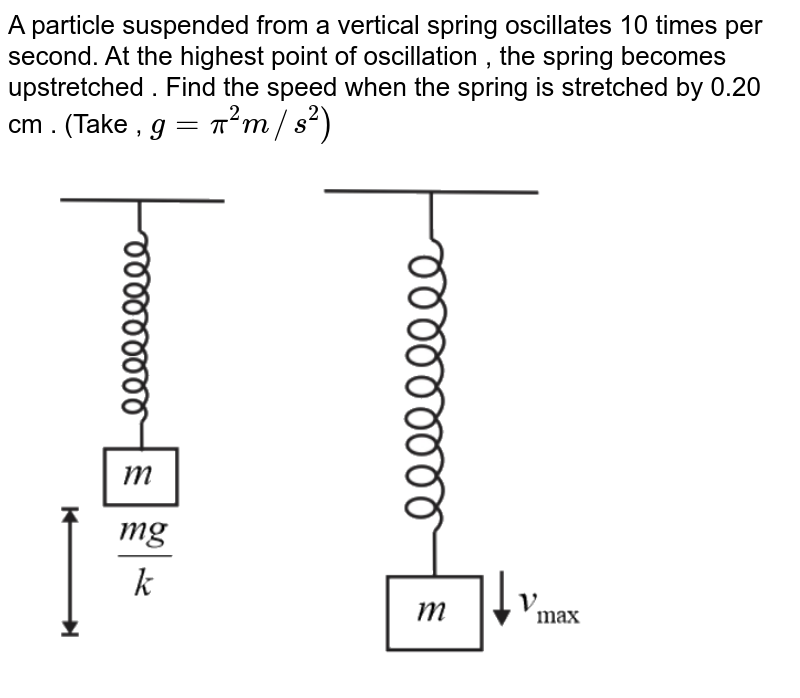 A particle suspended from a vertical spring oscillates 10 times per ...