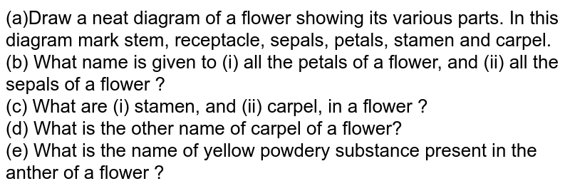 a Draw a neat sketch of the stamen of a flower. Mark in it filamen