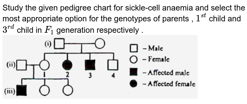 Sickle Cell Anemia Pedigree With Genotypes