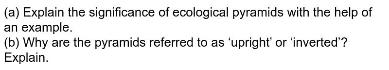 Why are the pyramids referred to as ‘upright’ or ‘inverted’?
