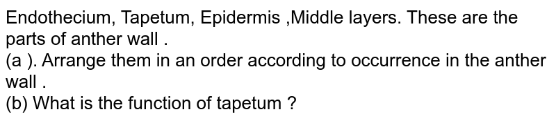 What is the role of endothecium and tapetum in an anther