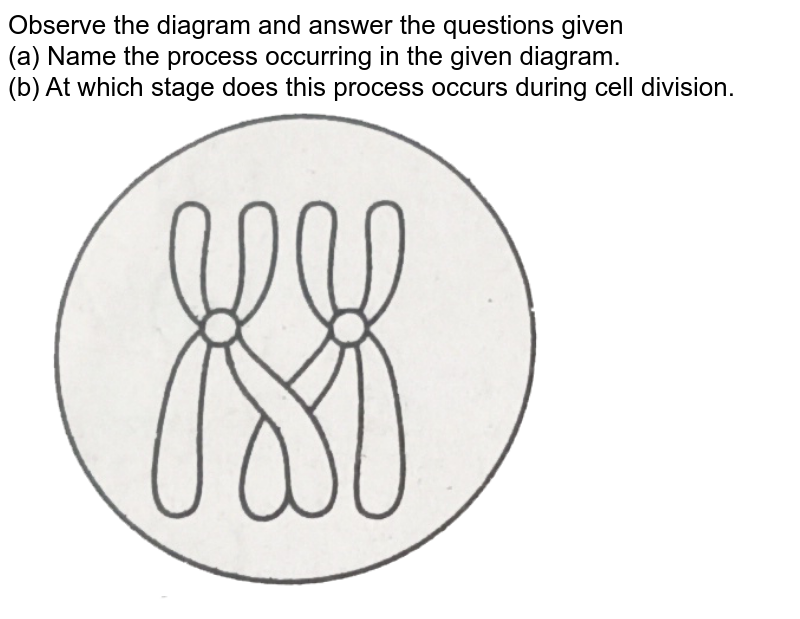 Which process is indicated by given diagram ?aCell division during