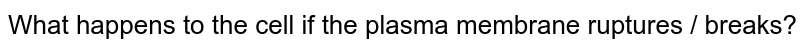 What would happen if the plasma membrane ruptures or breaks down?