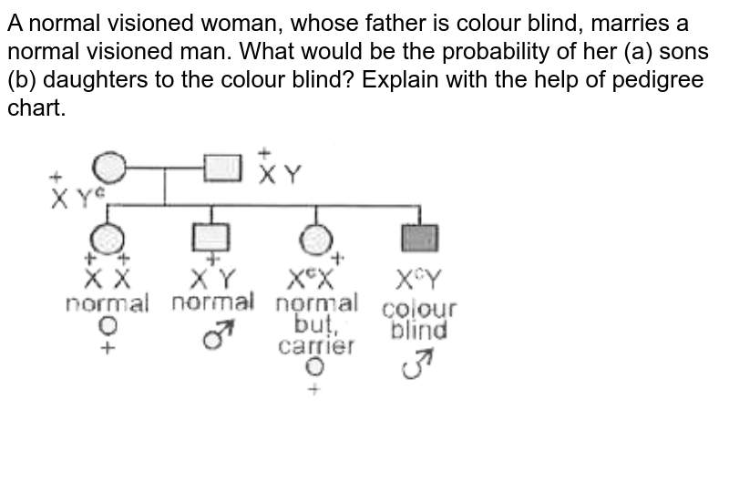 A normal vision female whose father is colour-blind marries a norm