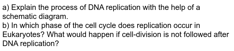 Does DNA replication occur in cell division?