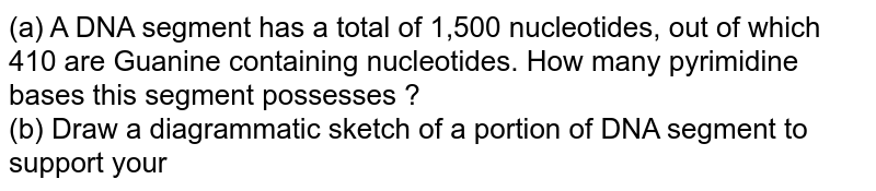Draw a diagrammatic sketch of a portion of DNA segment to support