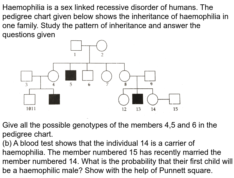 Haemophilia Is A Sex Linked Recessive Disorder Of Humans The Pedi
