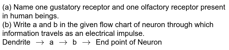 Write a and b in the given flow chart of neuron through which info