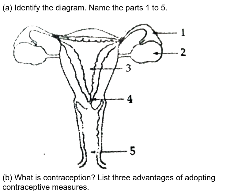 What is contraception? List three advantages of adopting contracep