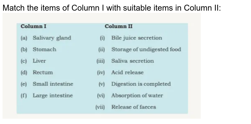 Match the items of Column I with suitable items in Column II Colum