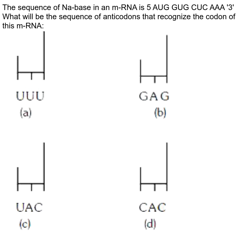 Explain the dual function of AUG codon. Give the sequence of bases