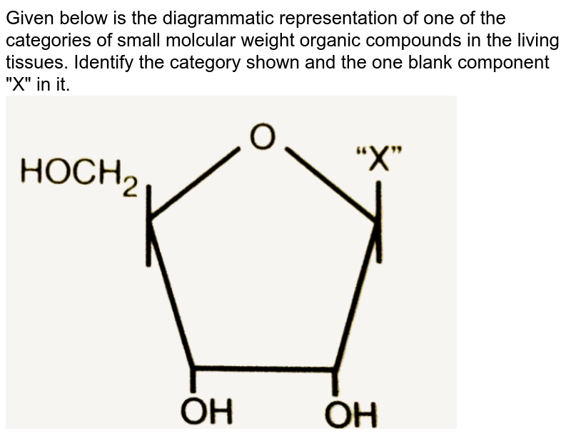Given below is the diagrammatic representation of one of the categ Given below is the diagrammatic representation of one of the categ