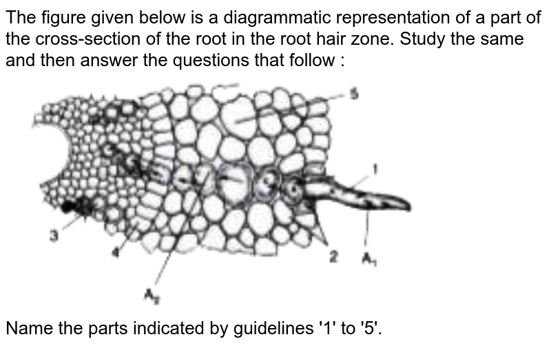 The figure given below is a diagrammatic representation of a part
