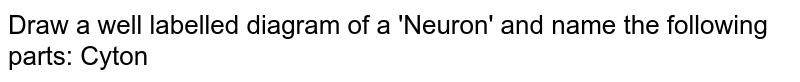 Draw a well labelled diagram of a Neuron and name the following Pa