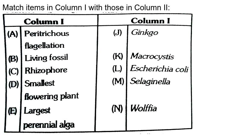 Match the items given in Column I with those in Column II: Column