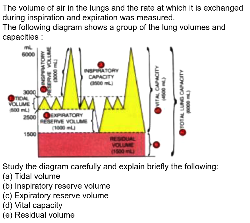 Loss of pulmonary elastic tissue in ‘emphysema’ reduces A. Physiol