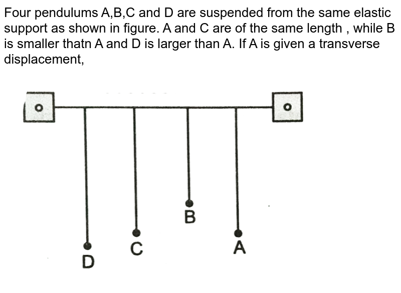 Four pendulums A B C and D are suspended from the sameelastic su
