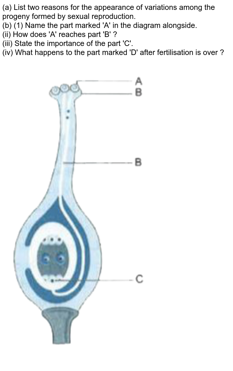 Given Alongside Is A Diagram Of The External Features Of The Heart
