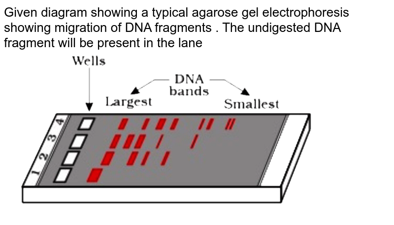 Study the diagram given below and answer the questions that follow