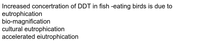 What is biological magnification of DDT in large size fish eating