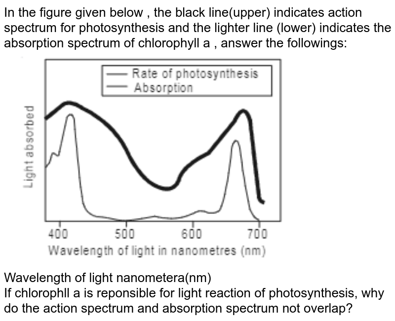 Chlorophyll Absorption Spectrum
