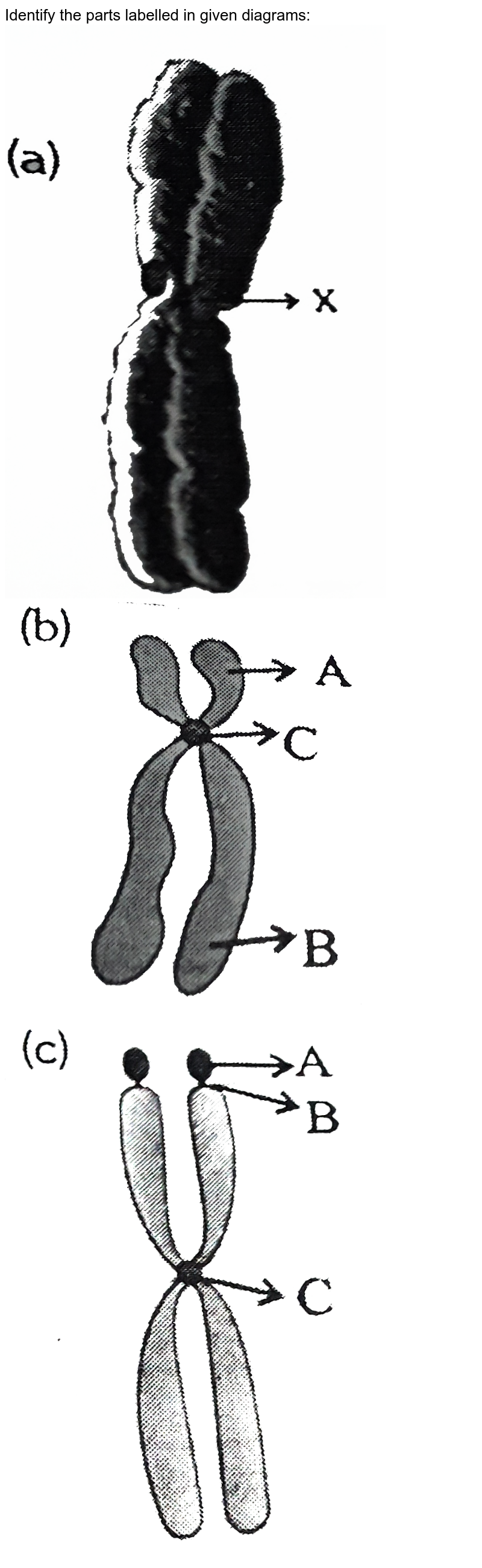Identify the given diagrams. Name the parts 1 to 5