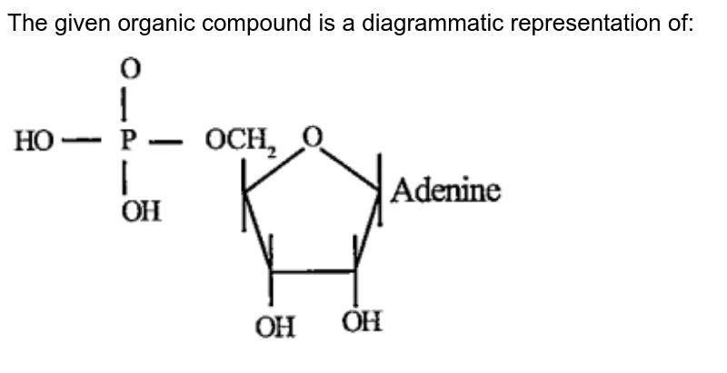 Given below is the diagrammatic representation of one of the categ Given below is the diagrammatic representation of one of the categ