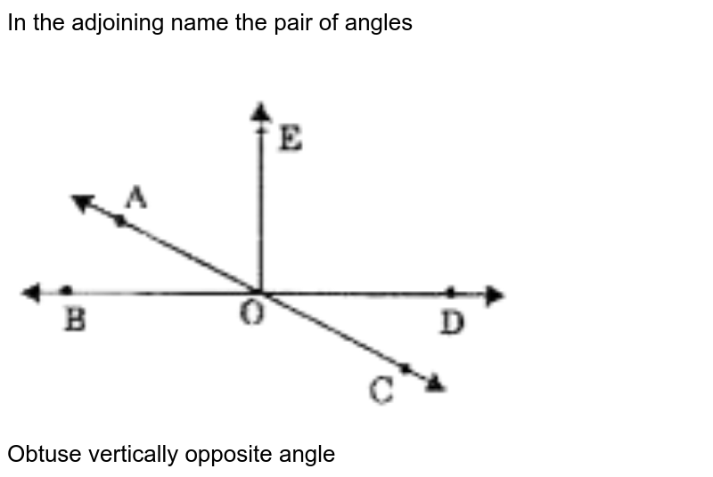 In the adjoining figure name the following pairs of angles:i Obtu