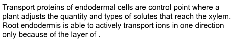 Transport proteins of endodermal cells are control points where a