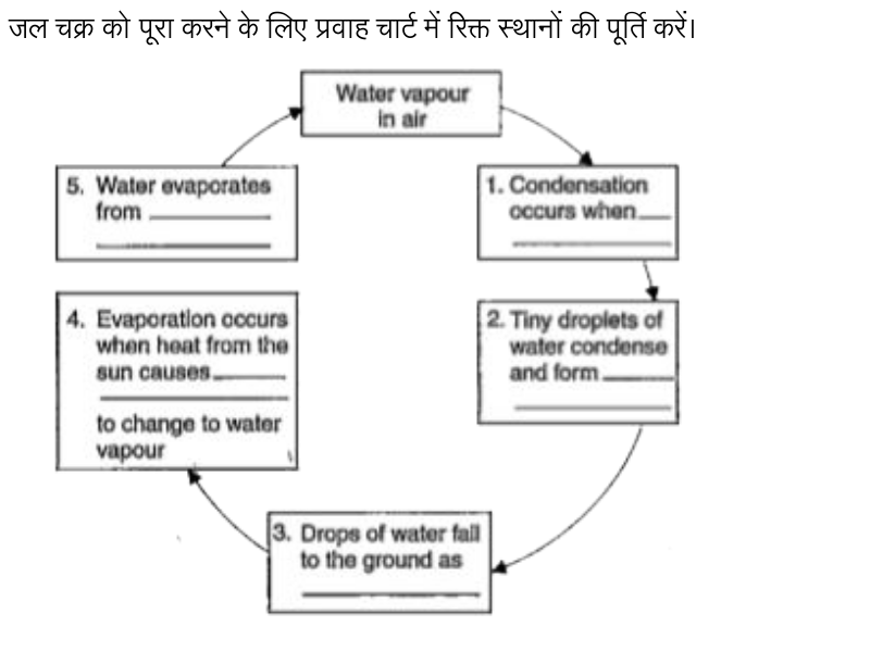 Water Cycle Flow Chart