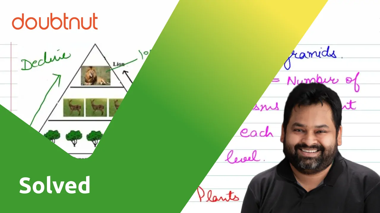 Punjabi Solution Explain The Concept Of Pyramid Of Numbers punjabi-solution-explain-the-concept-of-pyramid-of-numbers