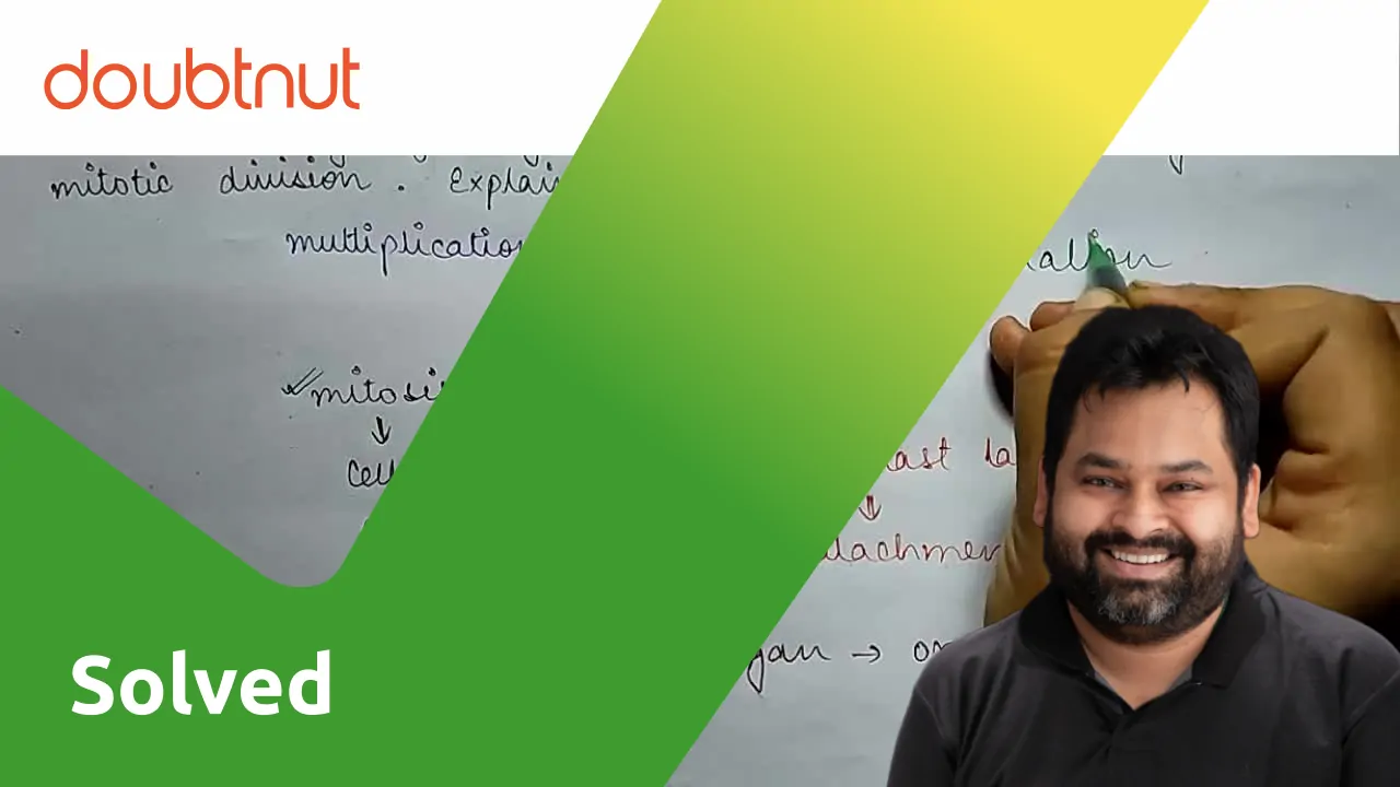 In which stage of the gestation period zygote undergoes mitotic divisi