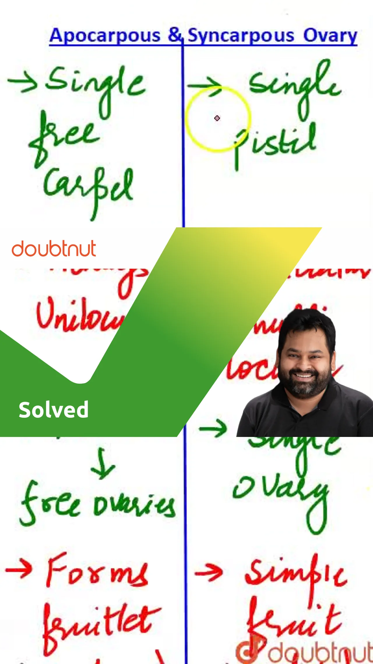 Apocarpous ovary and Syncarpous Ovary