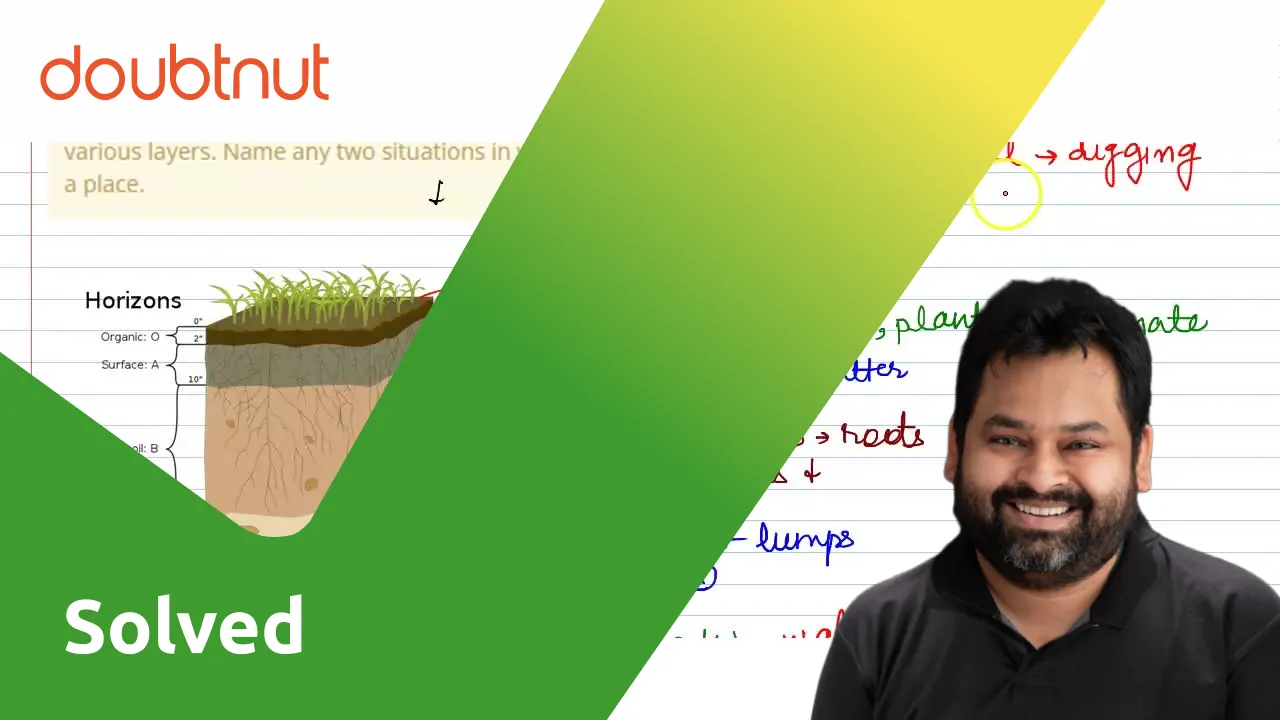 What is meant by ‘soil profile’ ? Draw a sketch of the soil profile an