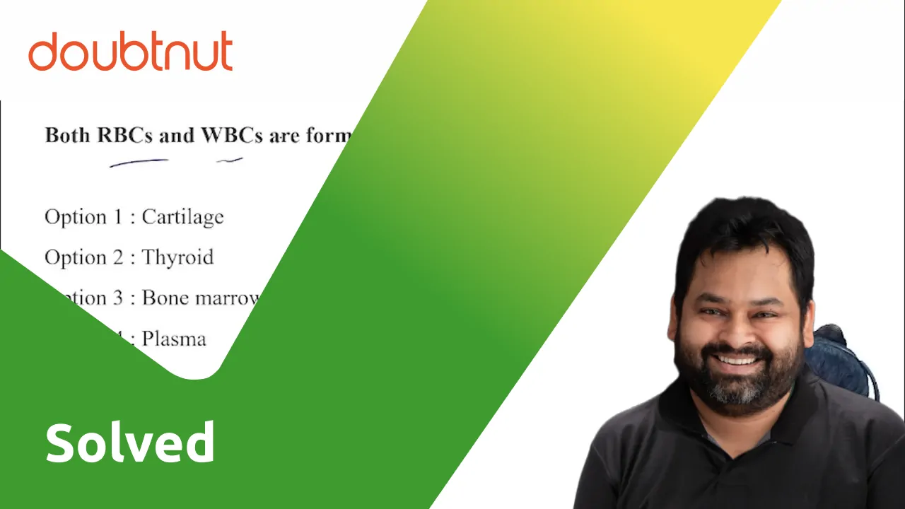 both-rbcs-and-wbcs-are-formed-in