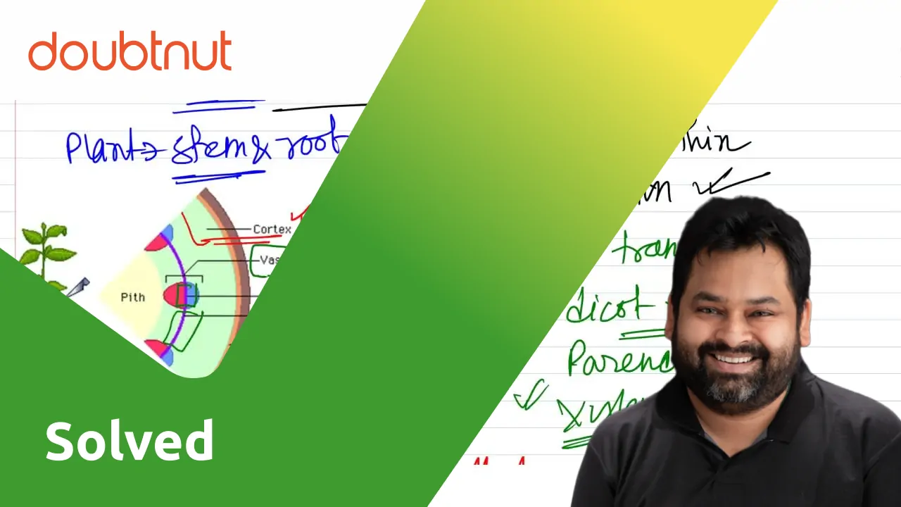 [Bengali Solution] Write a short notes on lateral meristem.