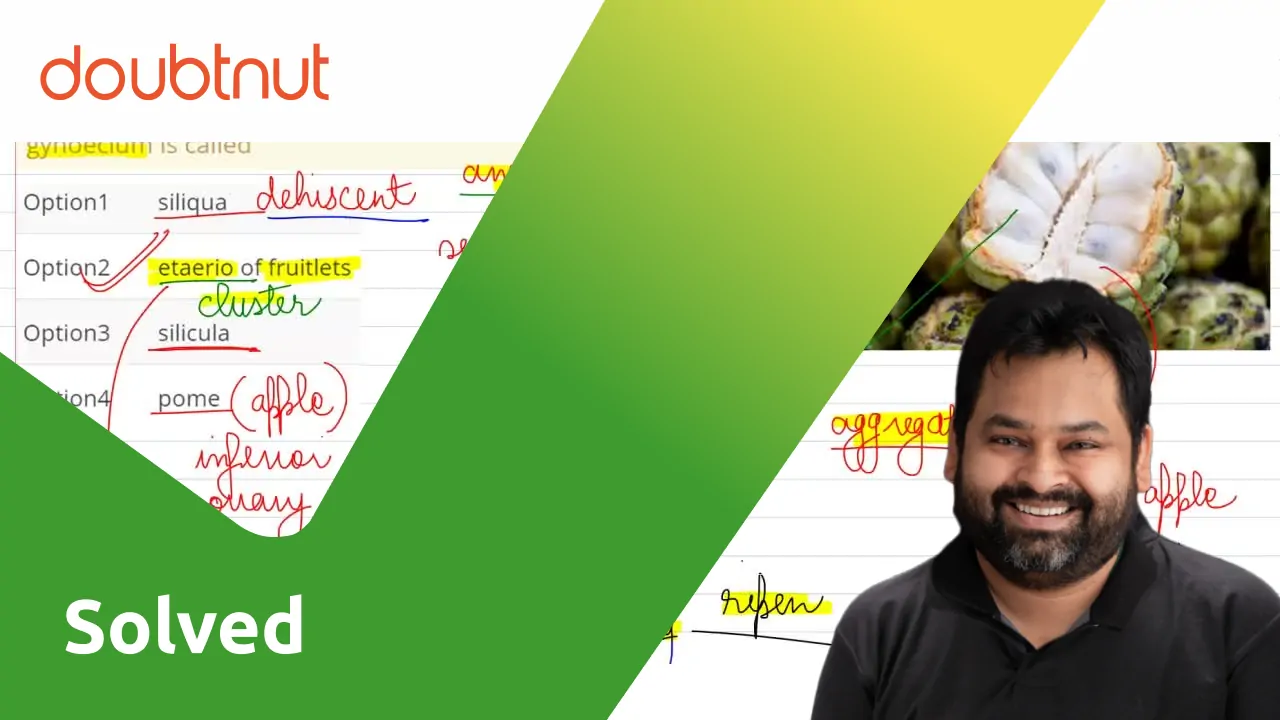 A fruit developed form a single ovary of a multicarpellary apocarpous