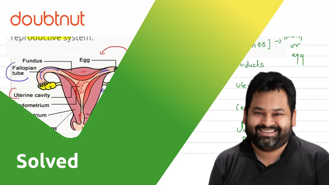 Draw A Neat Labelled Diagrammatic Sectional View Of Female Reproducti
