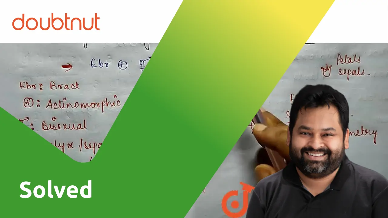 Draw the floral diagram of Solanum nigrum.