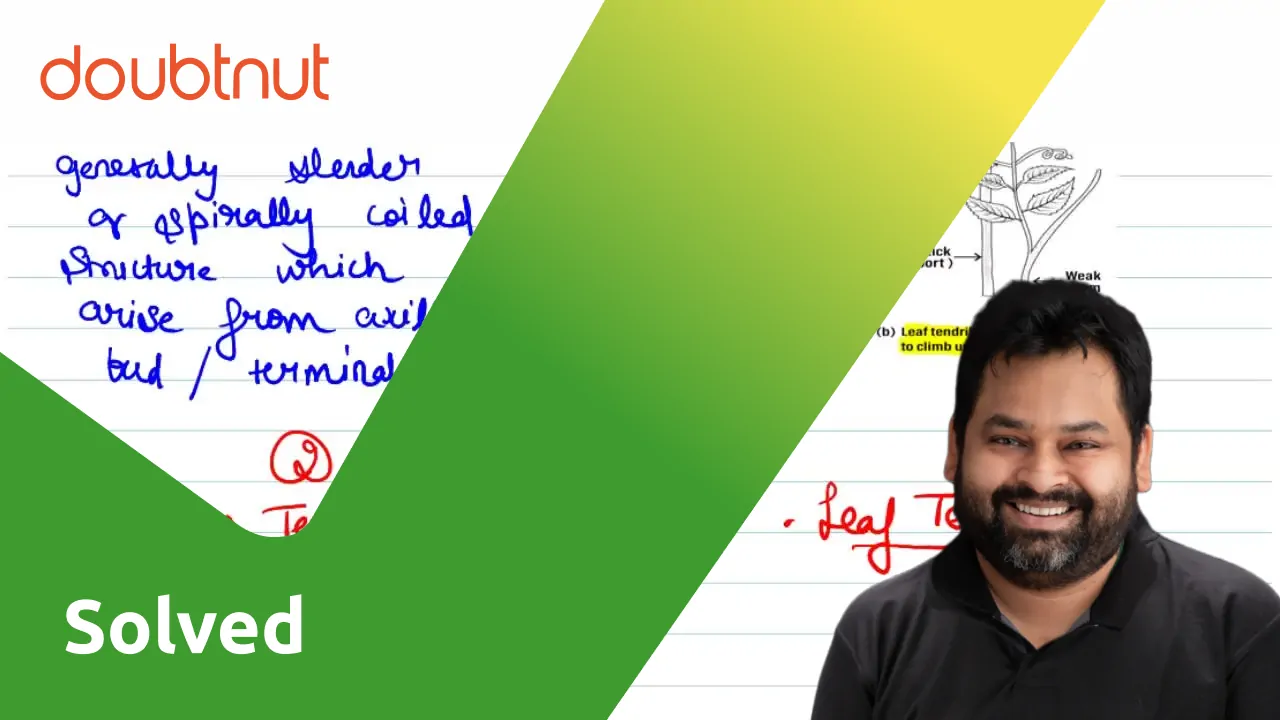 What is tendril? Name any two types of tendrils.