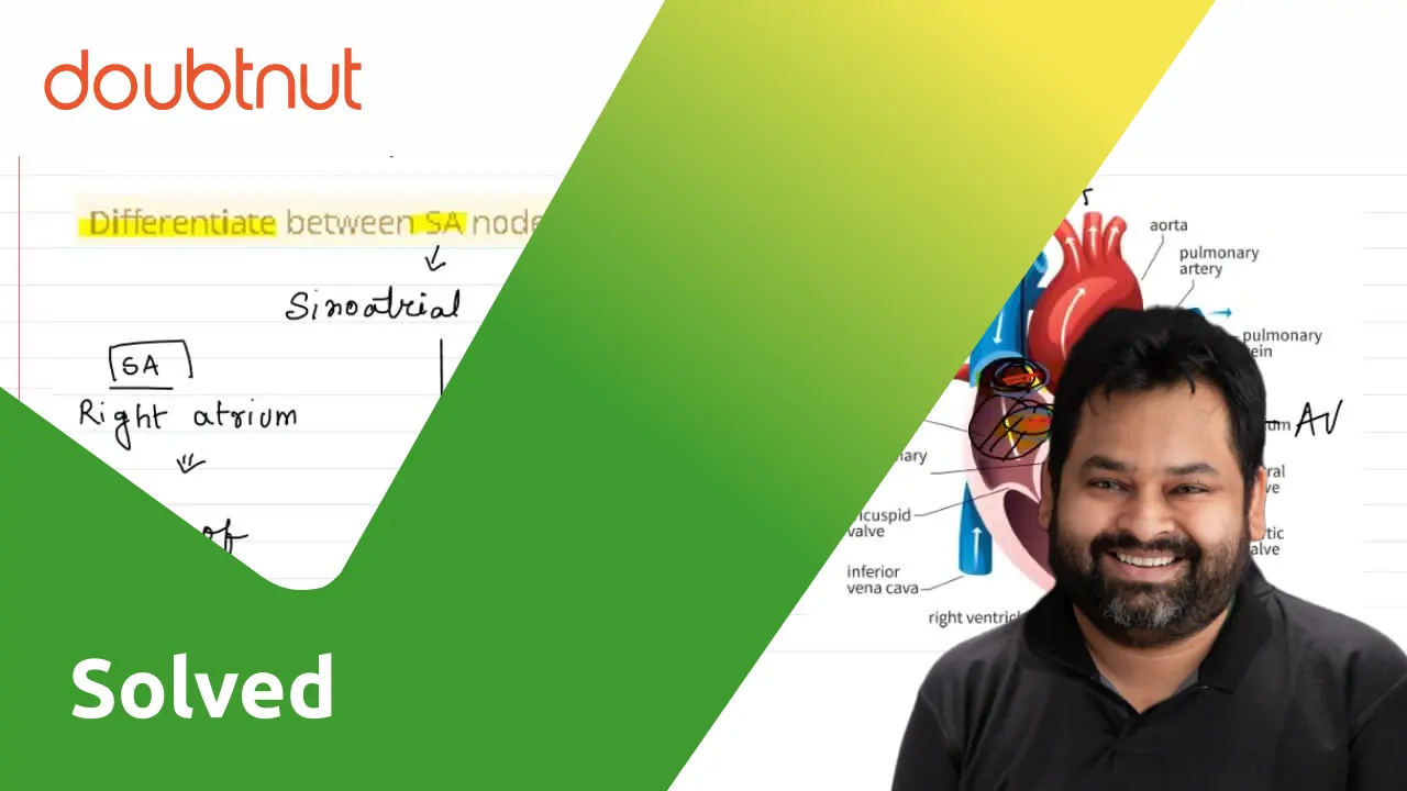 Differentiate between SA node and AV node