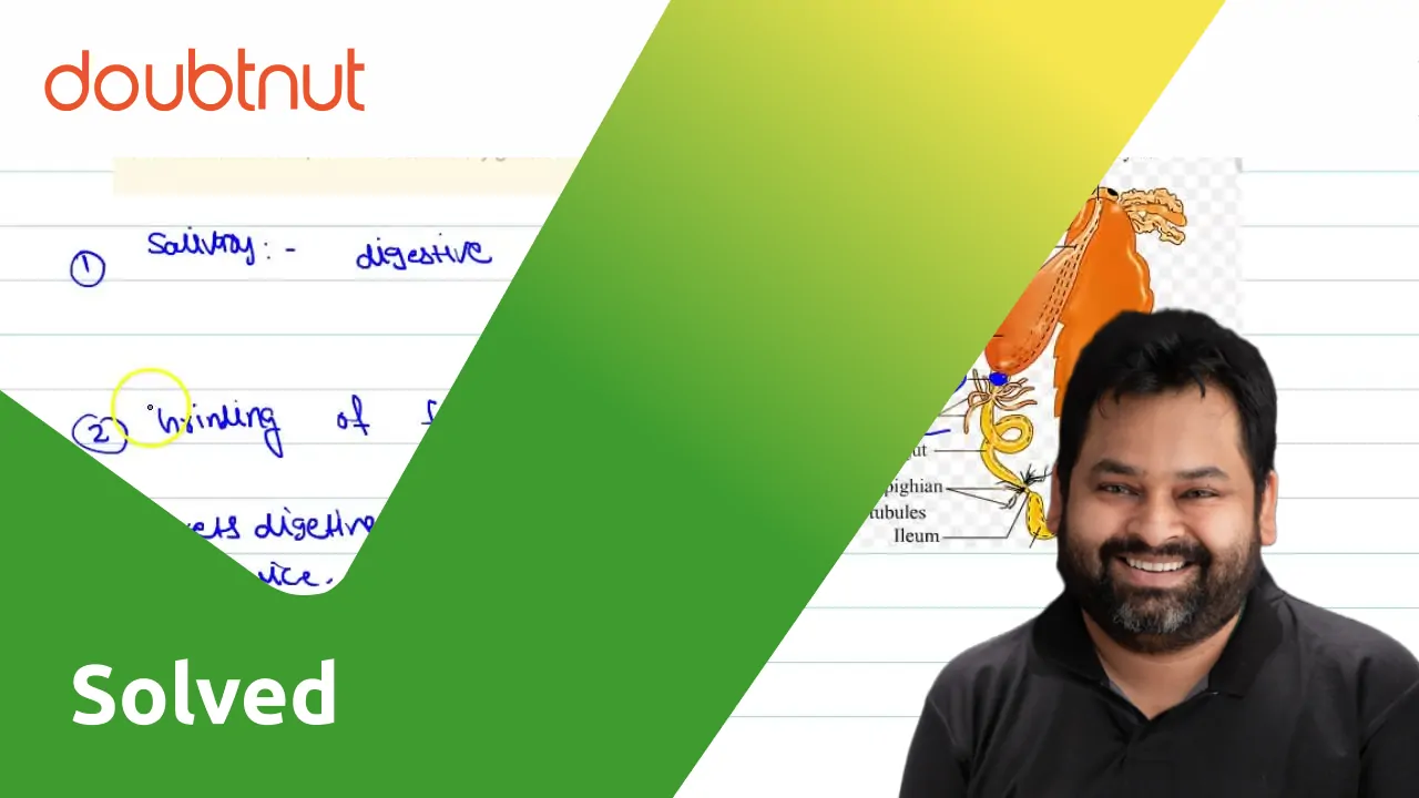 Give functions of hepatic caecae, salivary glands and gizzard.